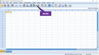 IBM SPSS Statistics Interface - Navigation | PPT