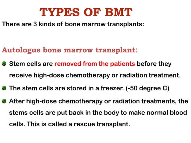 BONE MARROW TRANSPLANT | PDF | Bone and Joint Conditions | Diseases and ...