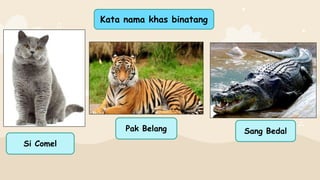 BM T2 Kata Nama Khas.pptx
