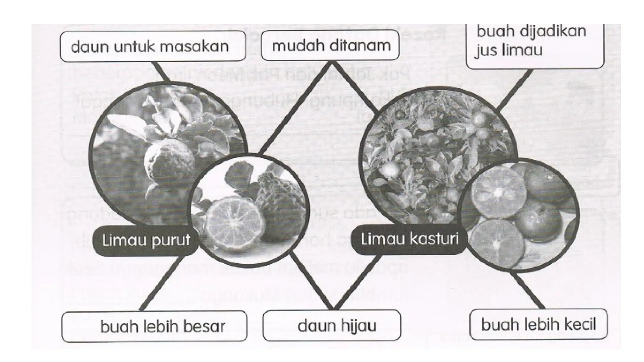 Bahasa Melayu Tahun tiga muka surat 120.pptx