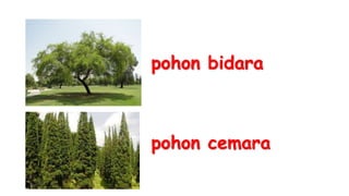 BM TAHUN 3 UNIT 2 MS 11.pptx