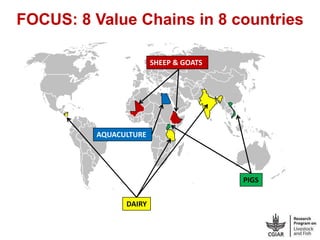 Sheep and Goat Value Chain Development in Ethiopia | PPTX | Agriculture ...