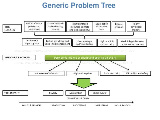 Sheep and Goat Value Chain Development in Ethiopia