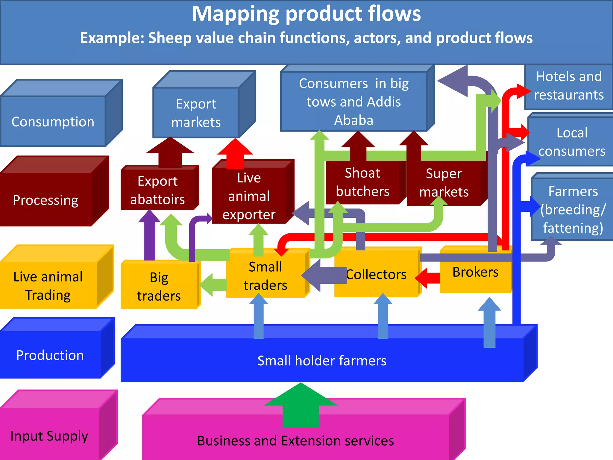 Sheep and goat value chains development in Ethiopia: Basic concepts of ...