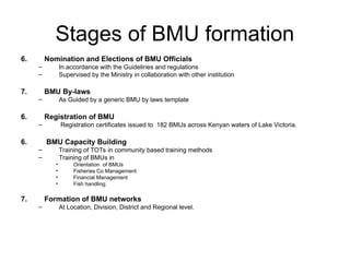 BMU Reformation process in L (2222222).ppt