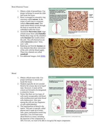 Histology | PDF