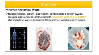 BMW for presentation of contamination of waste | PPT