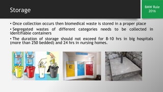 BMW-seminar-presentation.pdf