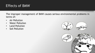 BMW-seminar-presentation.pdf