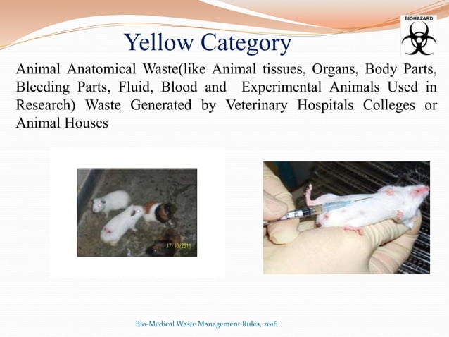 Biomedical Waste | PPT