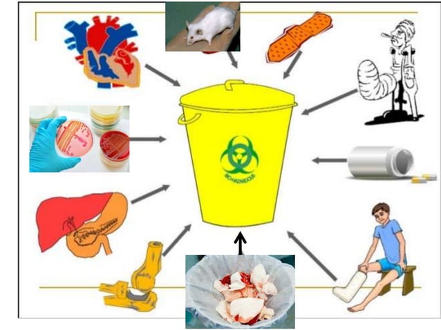 Biomedical waste management and universal precautions | PPTX