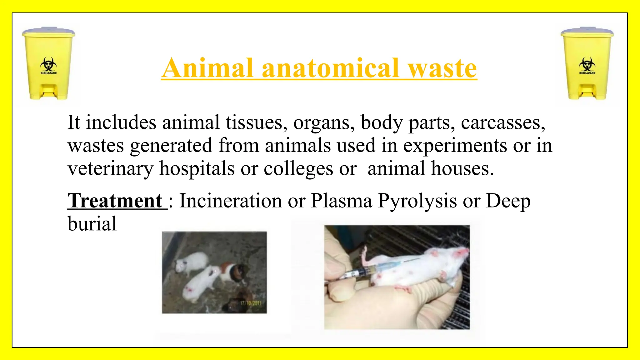 Biomedical waste management ( BMWM) .pptx