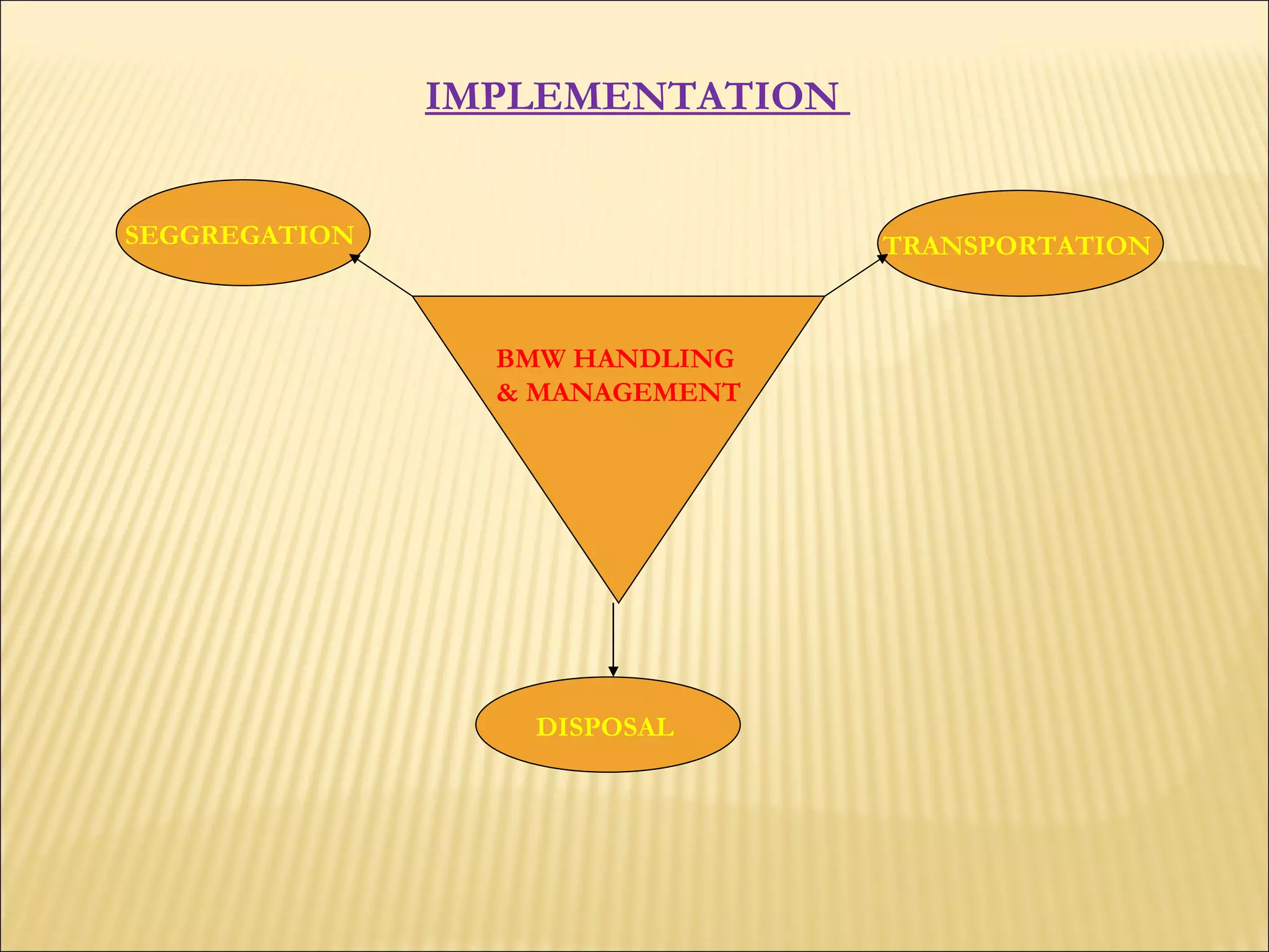 BMW Management | PPT
