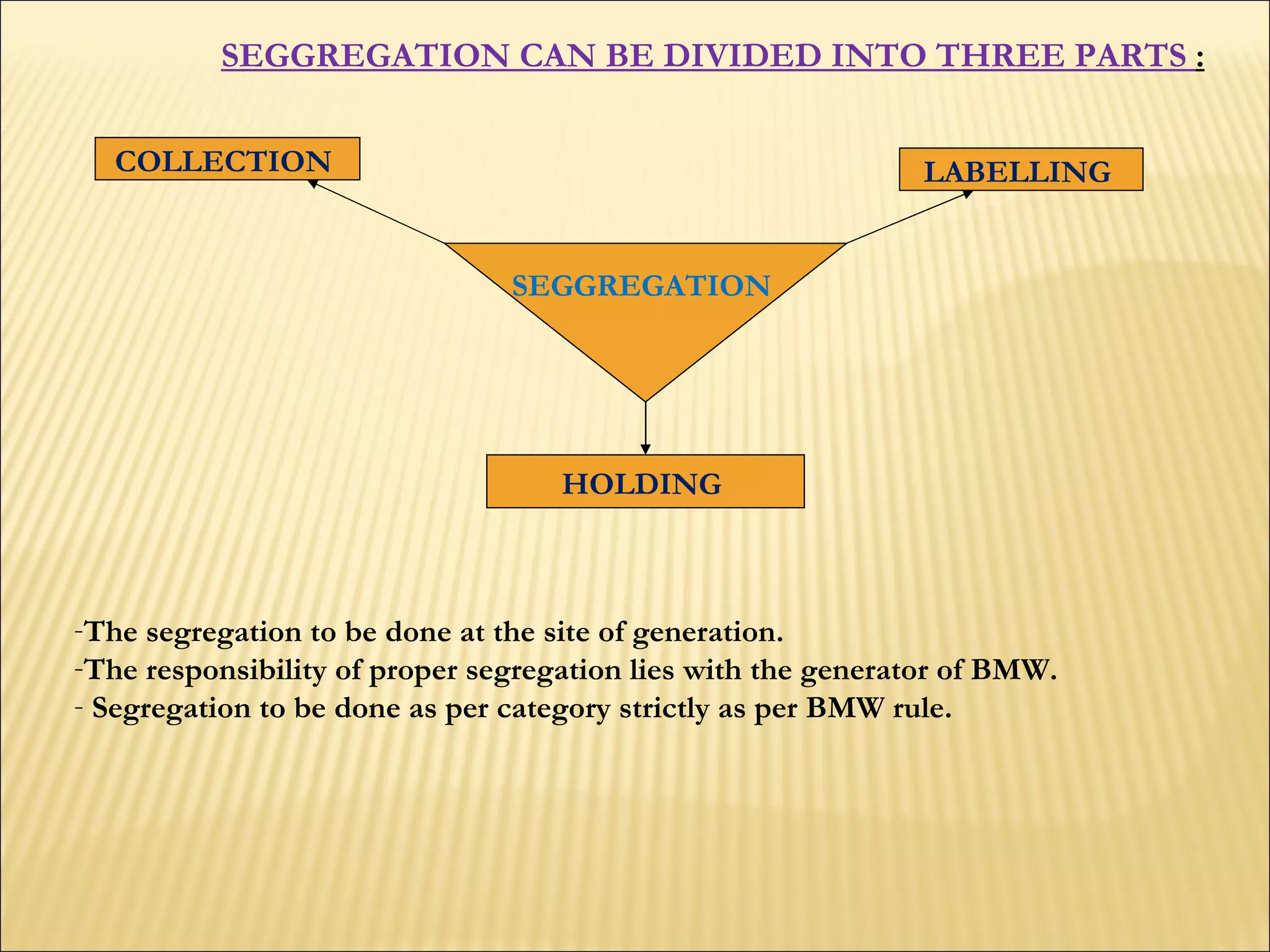 BMW Management | PPT