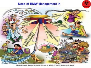 BMW management ppt.pptx