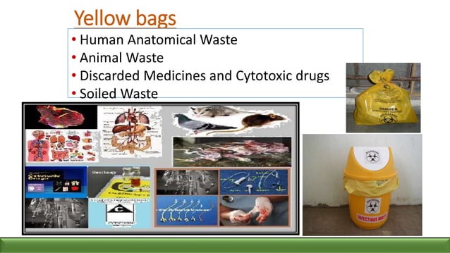 Biomedical waste management ppt by neha jani | PPT