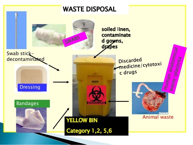 biomedical waste management