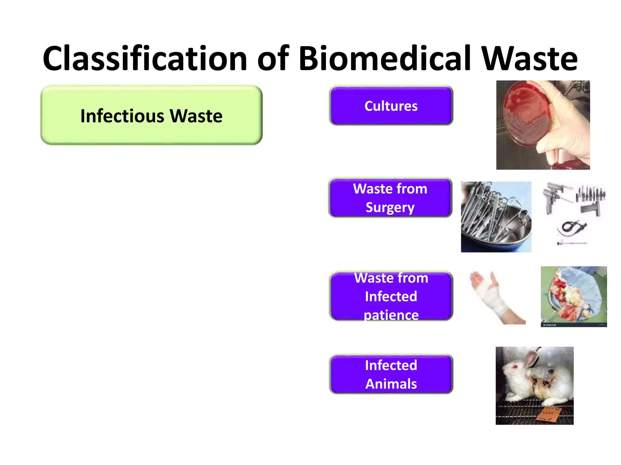 BMW_Storage_and_Segregation.ppt