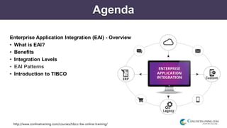 Bn1008 demo ppt tibco bw | PDF | Databases | Computer Software and Applications