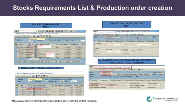 Bn1010 demo ppt sap pp | PDF