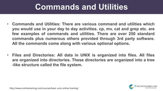 Bn1025 demo basic unix | PDF | Operating Systems | Computer Software and Applications