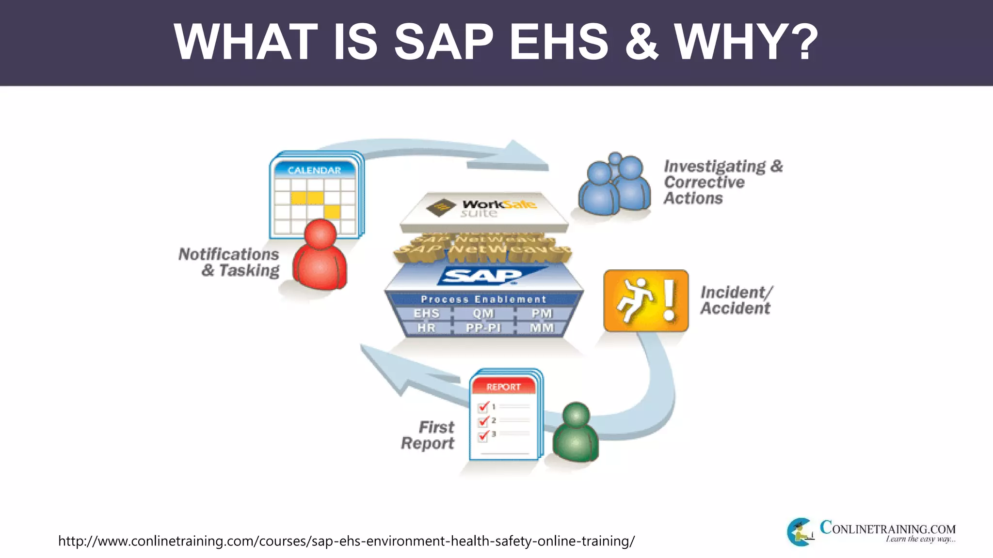 Bn1031 demo sap ehs | PDF