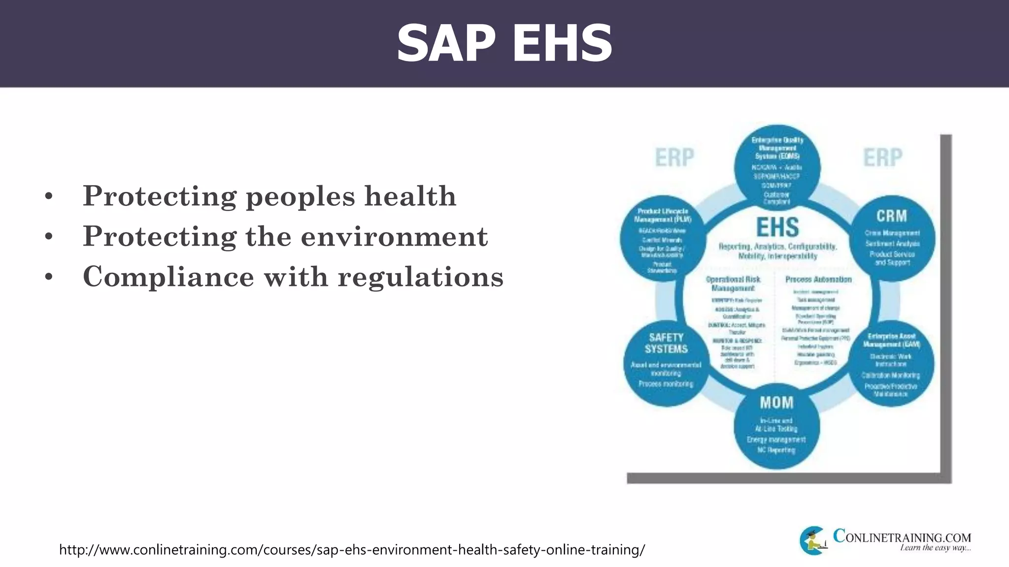 Bn1031 demo sap ehs | PDF