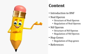 Genetics and regulation of Biological Nitrogen Fixation | PPTX