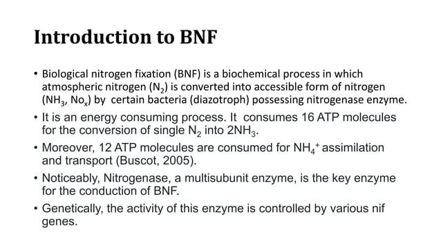 Genetics and regulation of Biological Nitrogen Fixation | PPTX