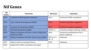 Genetics and regulation of Biological Nitrogen Fixation | PPTX