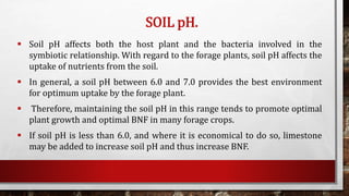 Factors affecting biological nitrogen fixation | PPTX