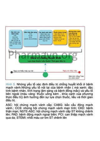 bản FULL hcvc không st chênh.pdf