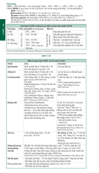 bệnh phổi tắc nghẽn mạn tính.pdf