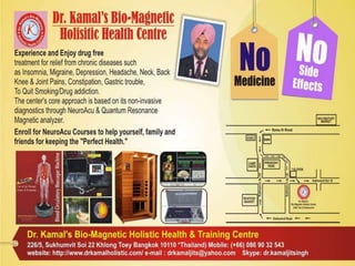 Bio-Magnetic Holistic Health Therapies | PPT