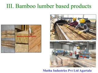 B N Mohanty_Bamboo Composite Material- the way forward | PDF