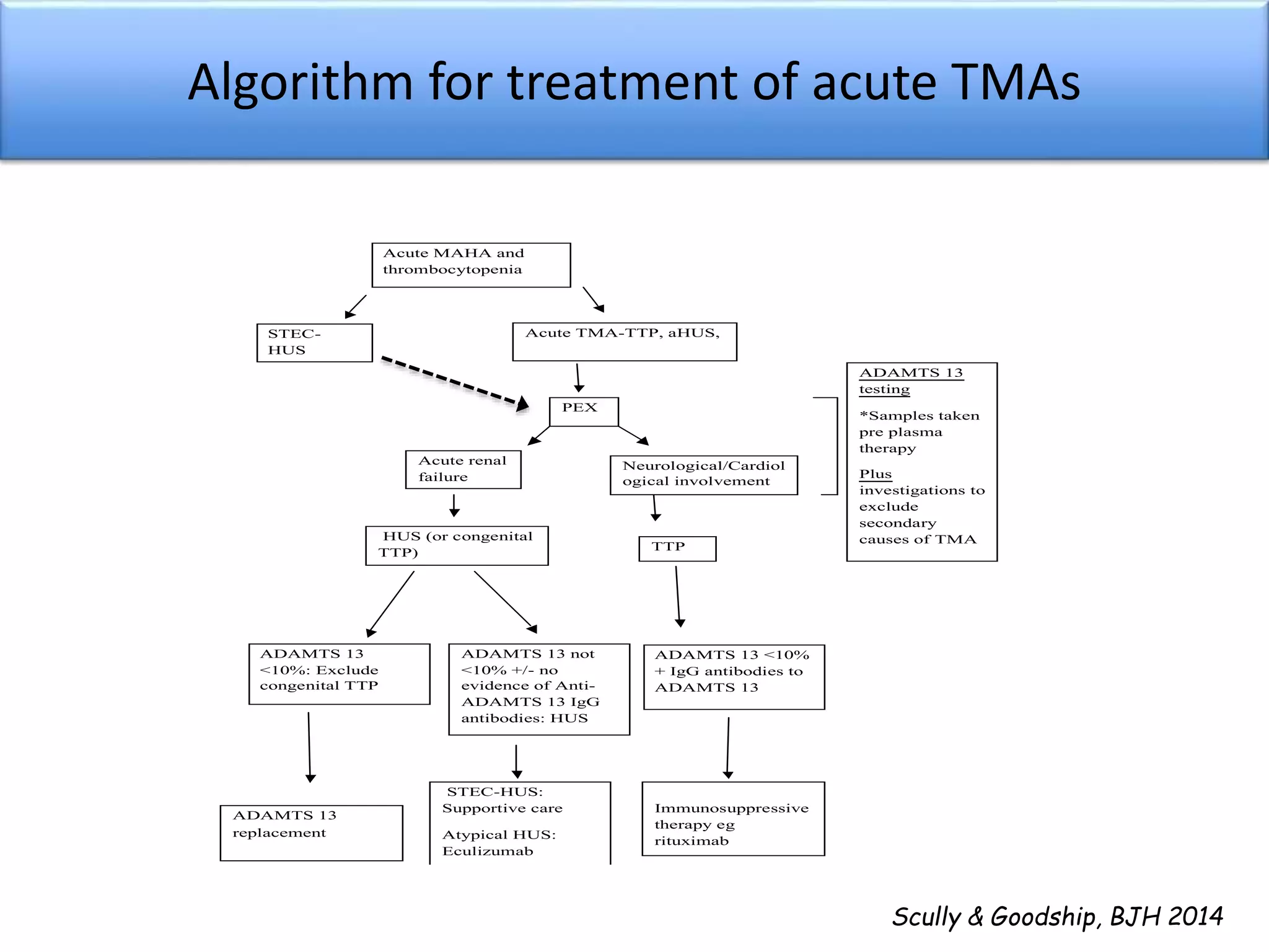 How I diagnose and manage HUS & TTP - Marie Scully & Jim Down | PPTX
