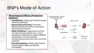 BNP in Heart failure (Final Version).pptx