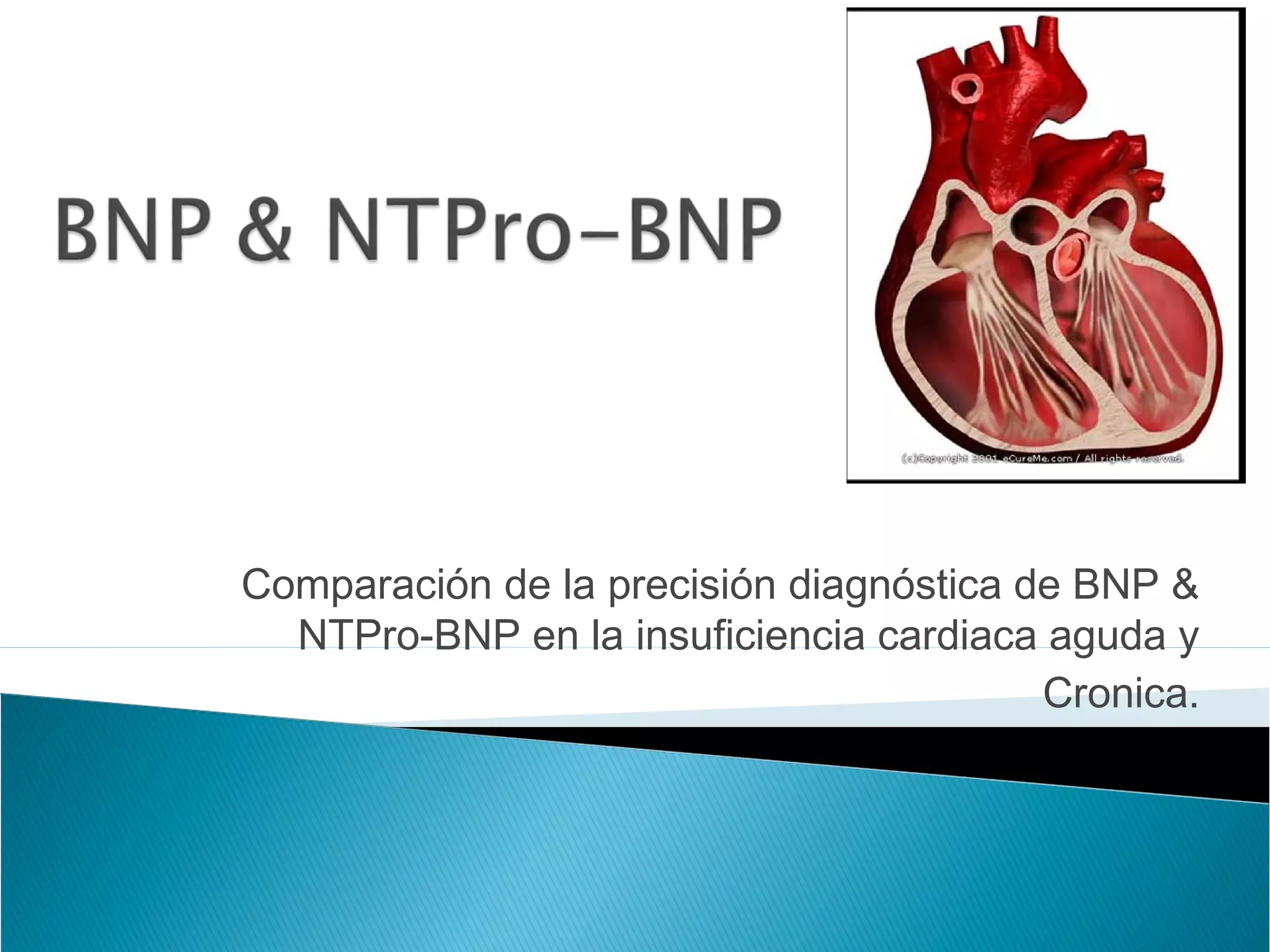 BNP_NT_pro-BNP | PPT