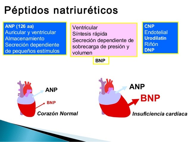 BNP_NT_pro-BNP