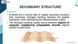 Bản sao của Lesson2.1 - Protein structure.pptx