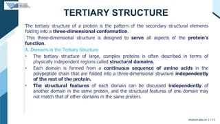 Bản sao của Lesson2.1 - Protein structure.pptx