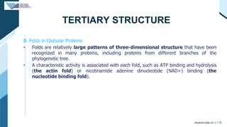Bản sao của Lesson2.1 - Protein structure.pptx