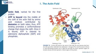 Bản sao của Lesson2.1 - Protein structure.pptx
