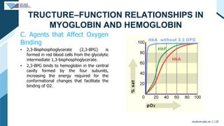 Bản sao của Lesson2.1 - Protein structure.pptx