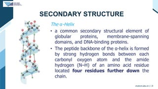 Bản sao của Lesson2.1 - Protein structure.pptx