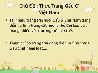 Bản thuyết trình hạnh | PPT