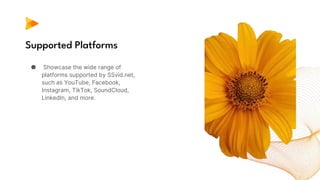 SSvid.net: The Ultimate All-in-One Video Downloading Solution | PPTX