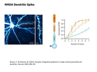 Why Neurons have thousands of synapses? A model of sequence memory in the brain | PPTX