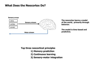 Why Neurons have thousands of synapses? A model of sequence memory in the brain | PPTX