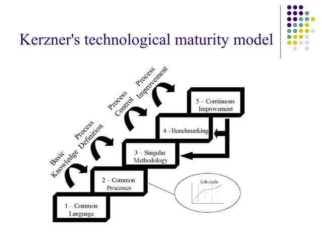 MODERN PROJECT MANAGEMENT SYSTEM MATURITY MODELS: THE ESSENCE AND ...